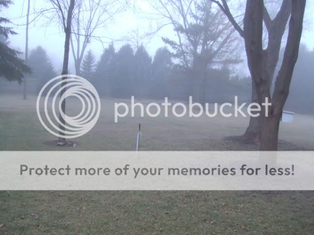 Wind Flags. | Rimfire Central Firearm Forum