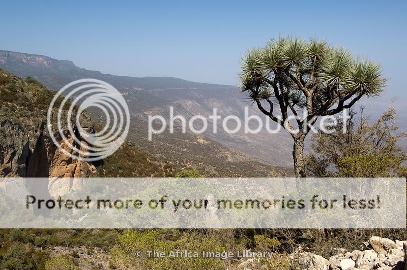 Somali Landscapes, Scenery, and National Parks | Picture Gallery | Page ...