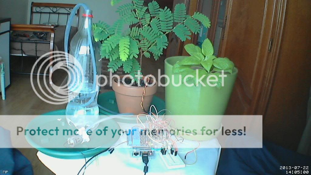 Automatic plant watering system, help please. - Raspberry Pi Forums