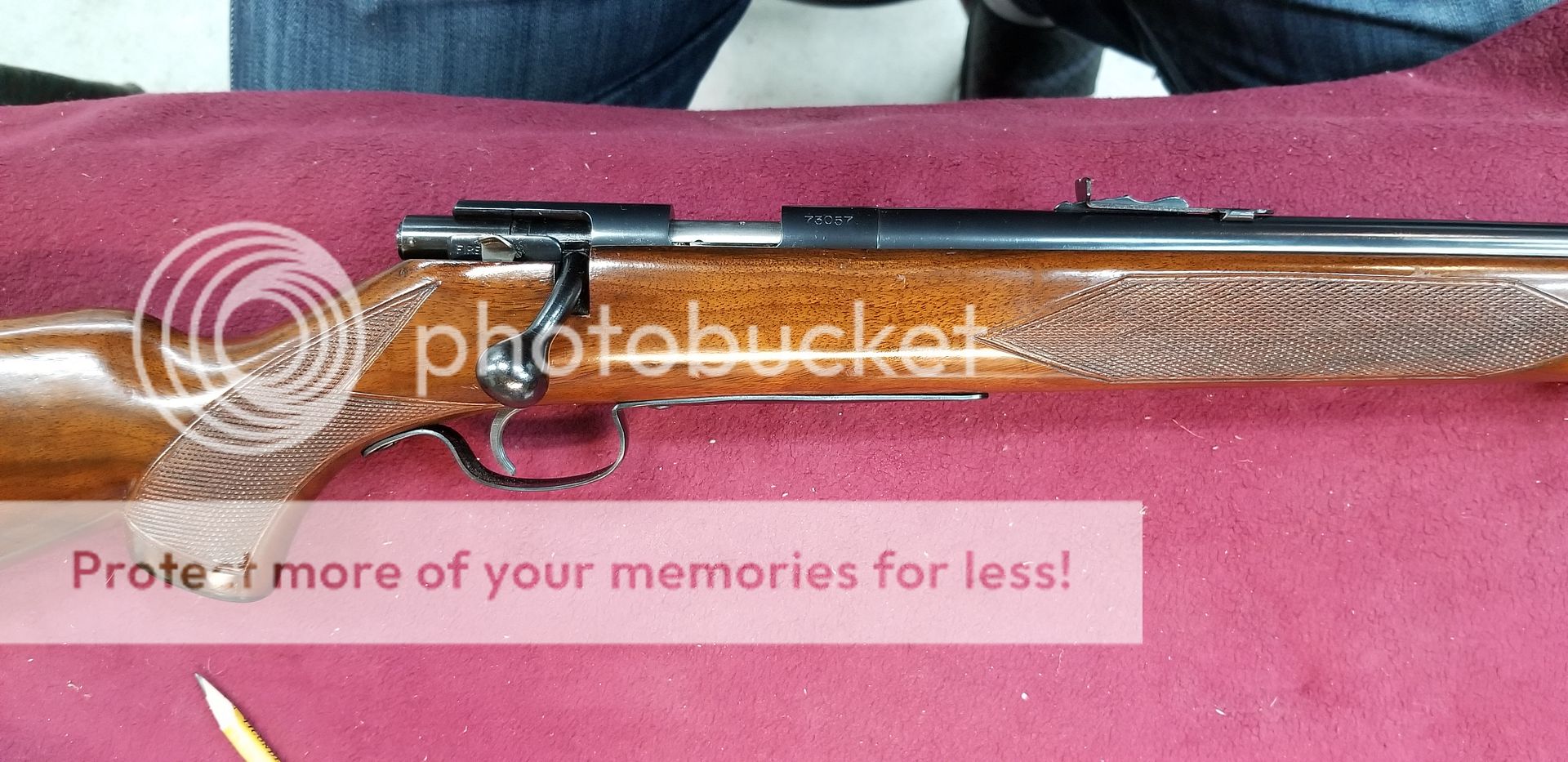 M75 Sport "EZ" Marking | Rimfire Central Firearm Forum